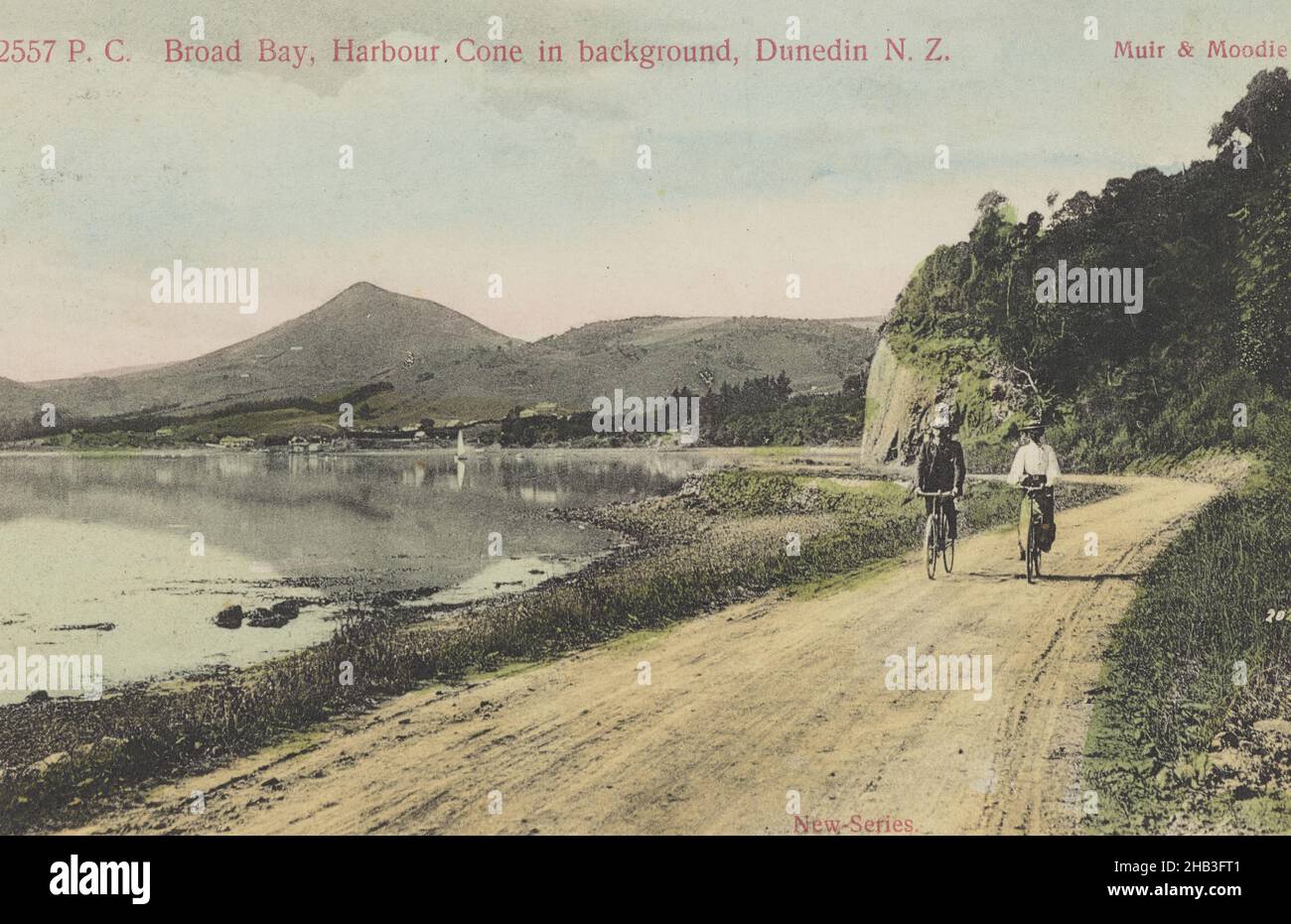 Broad Bay, Harbour, Cone in background, Dunedin, New Zealand, Muir ...