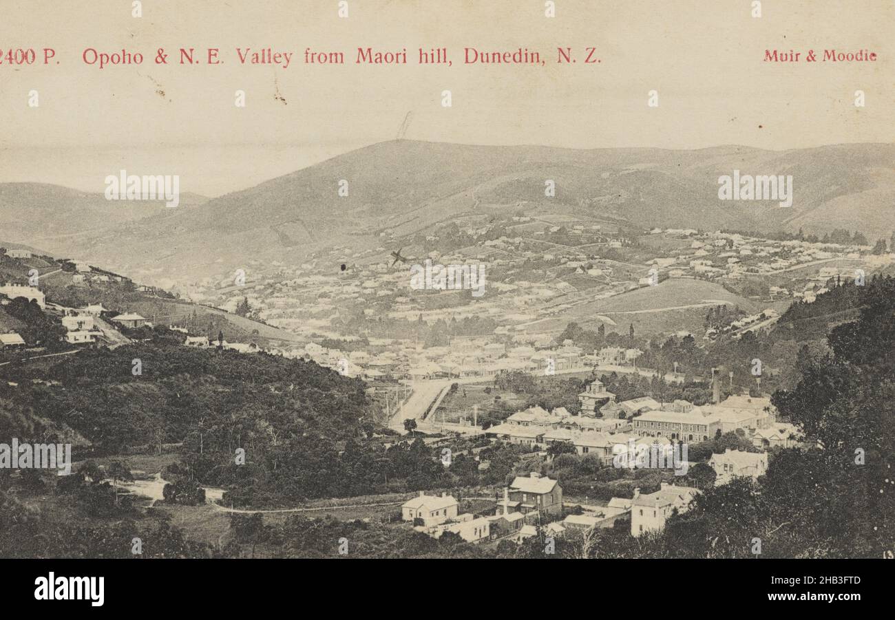 Opoho and North East Valley from Maori Hill, Dunedin, New Zealand, Muir ...
