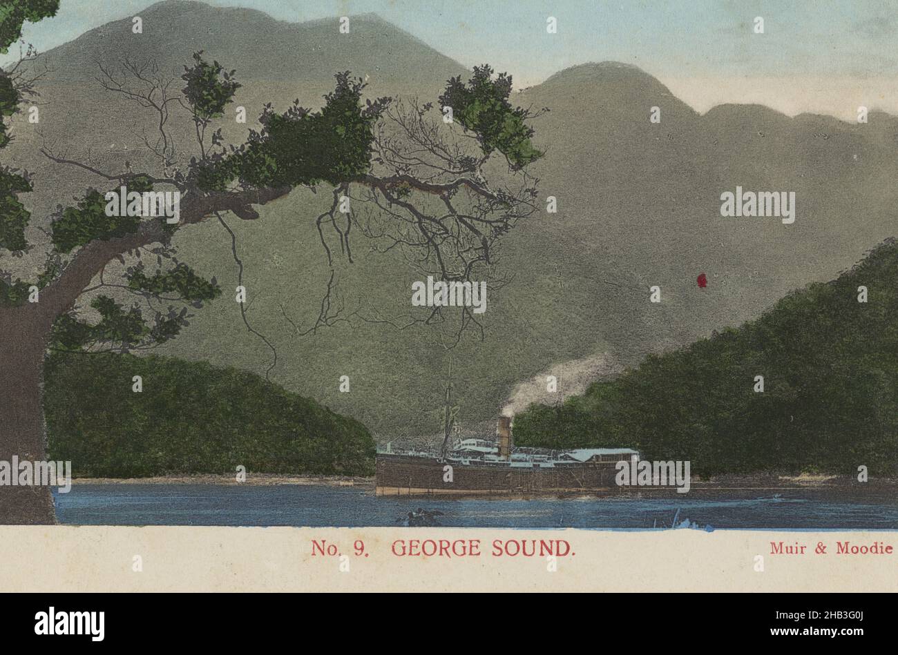 George Sound, Muir & Moodie studio, 1900-1903, George Sound Stock Photo ...