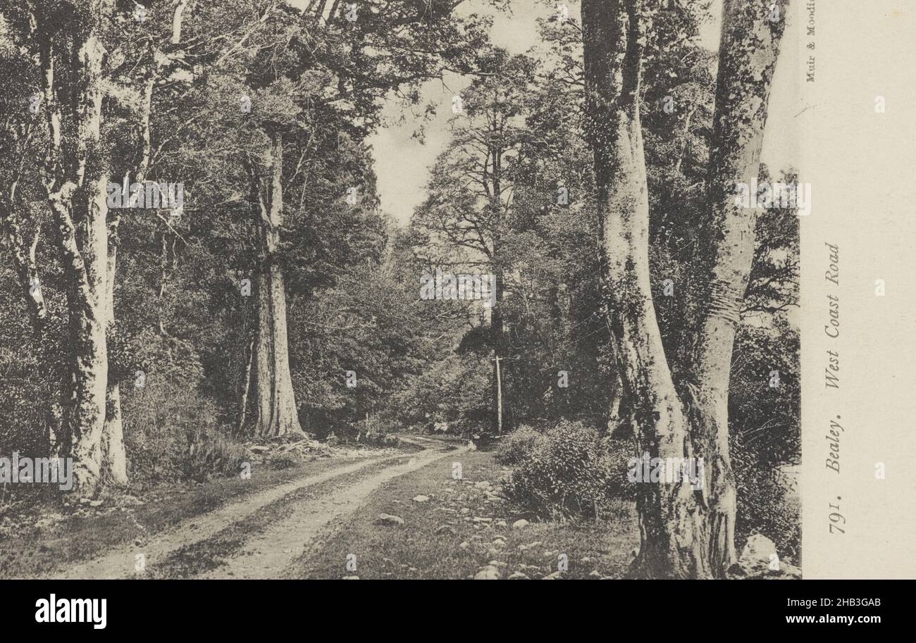 West coast road bealey hi-res stock photography and images - Alamy