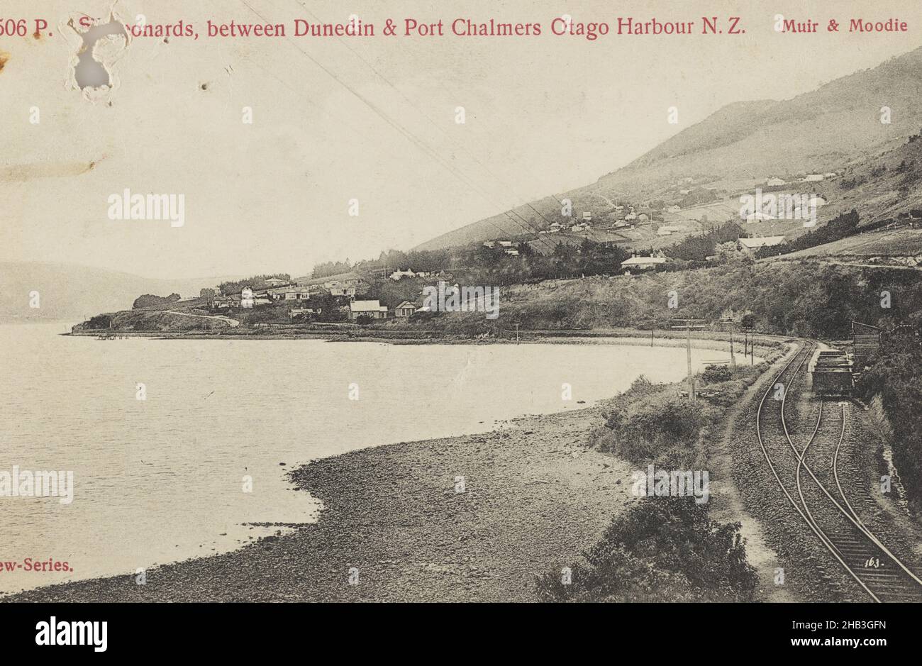 New zealand st leonards hi-res stock photography and images - Alamy