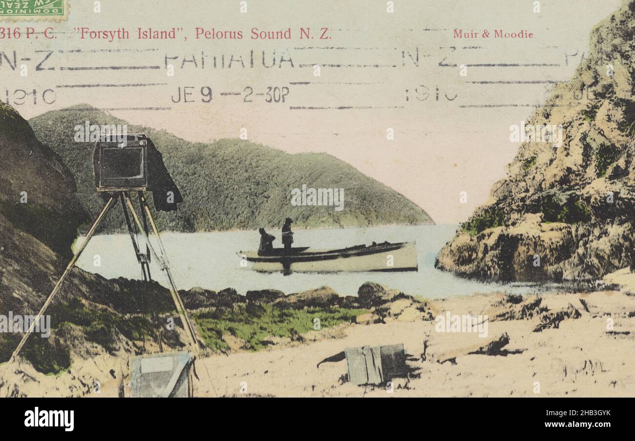 Forsyth Island, Pelorus Sound, New Zealand, Muir & Moodie studio, 1906 ...