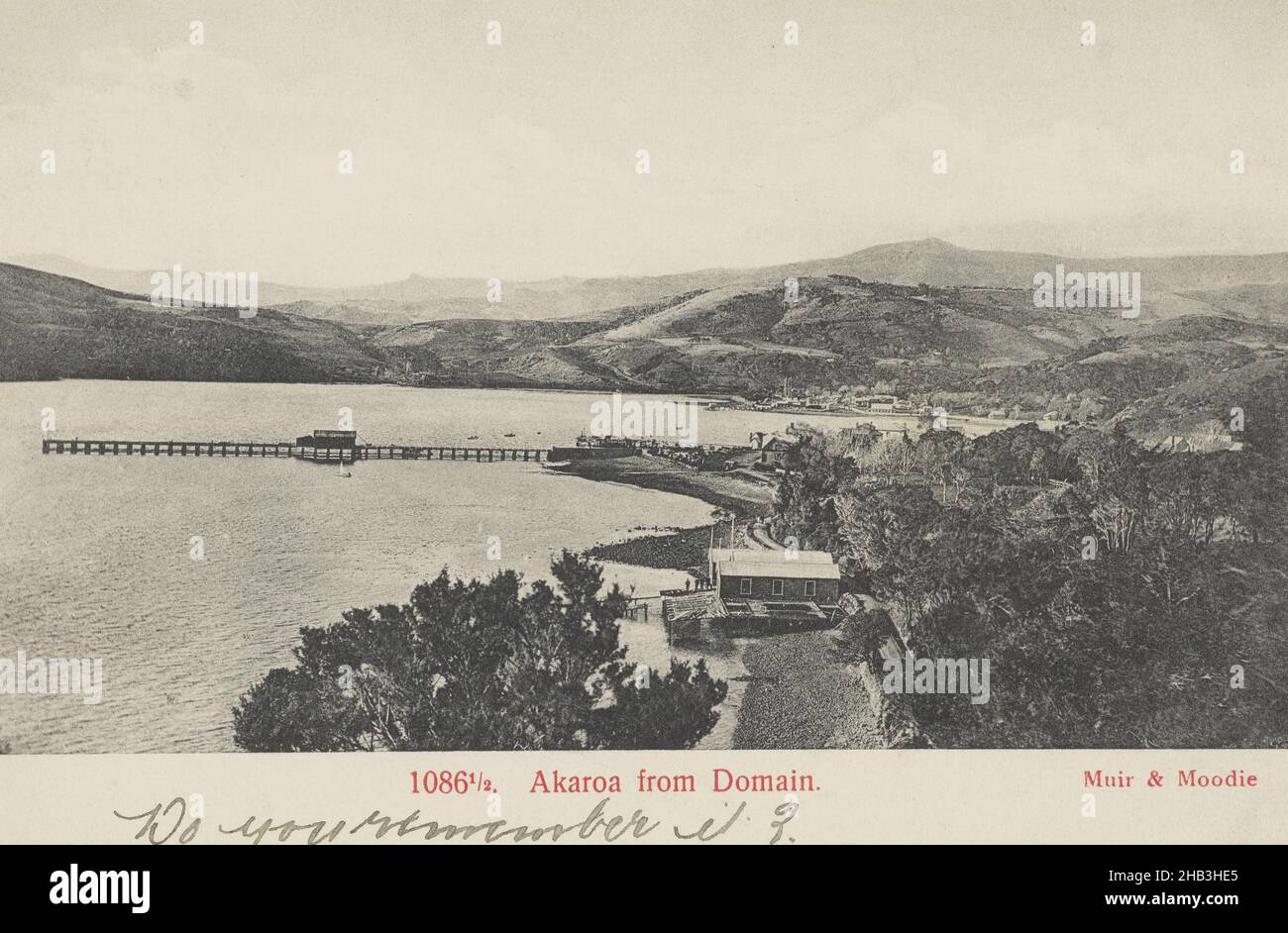 Akaroa from Domain, Muir & Moodie studio, 1905, Akaroa Stock Photo - Alamy