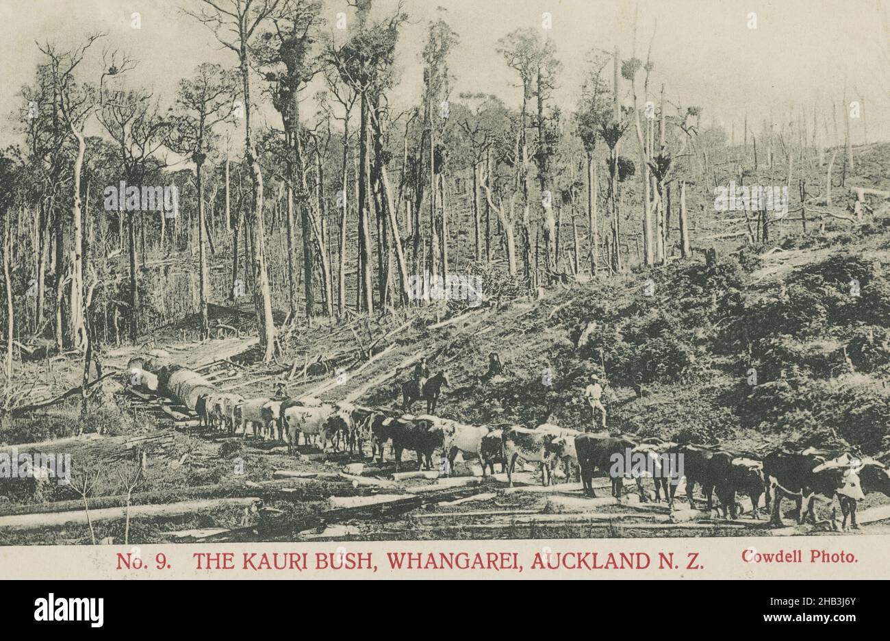 Whangarei country road hi-res stock photography and images - Alamy