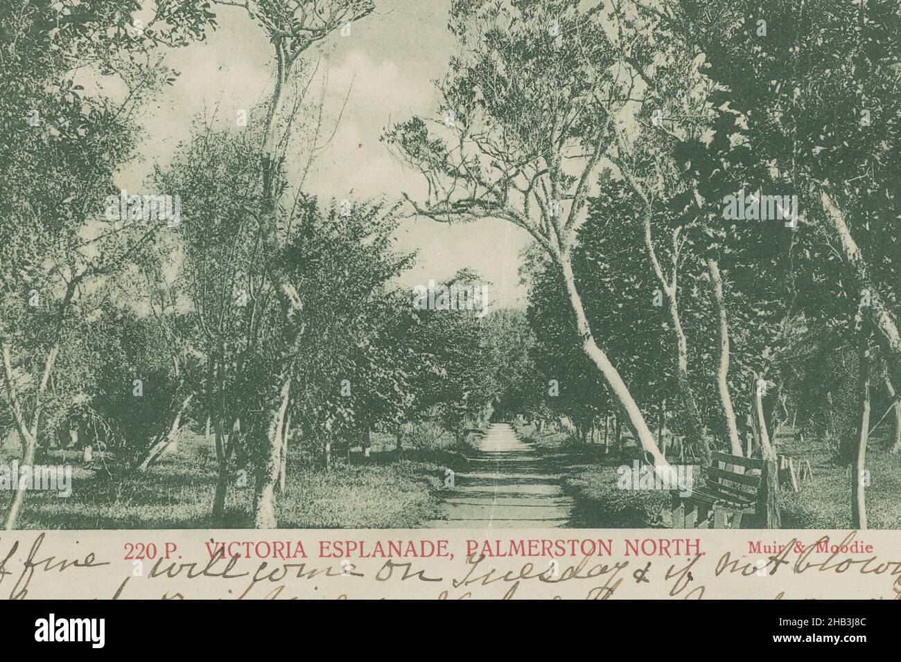 Victoria Esplanade, Palmerston North, Muir & Moodie studio, 1905 ...