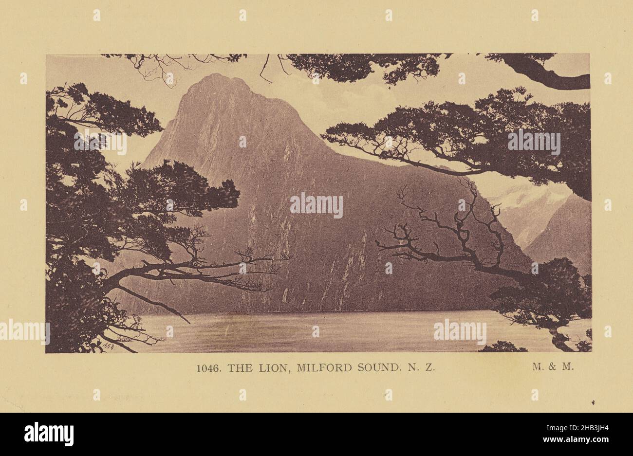 The Lion, Milford Sound, New Zealand, Muir & Moodie studio, 1904-1915 ...