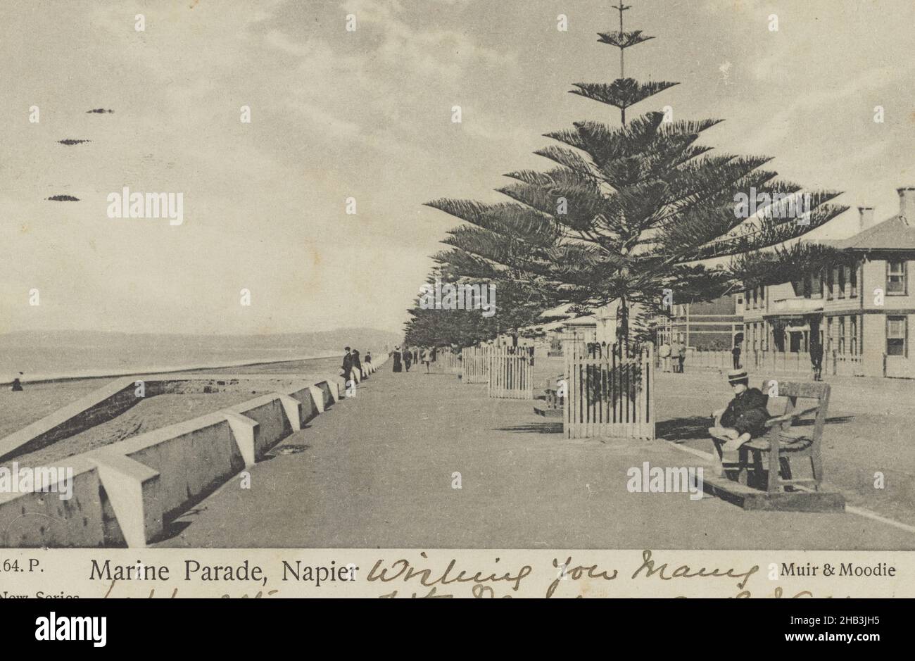 Marine Parade, Napier, Muir & Moodie studio, photographer, 1905, Napier ...