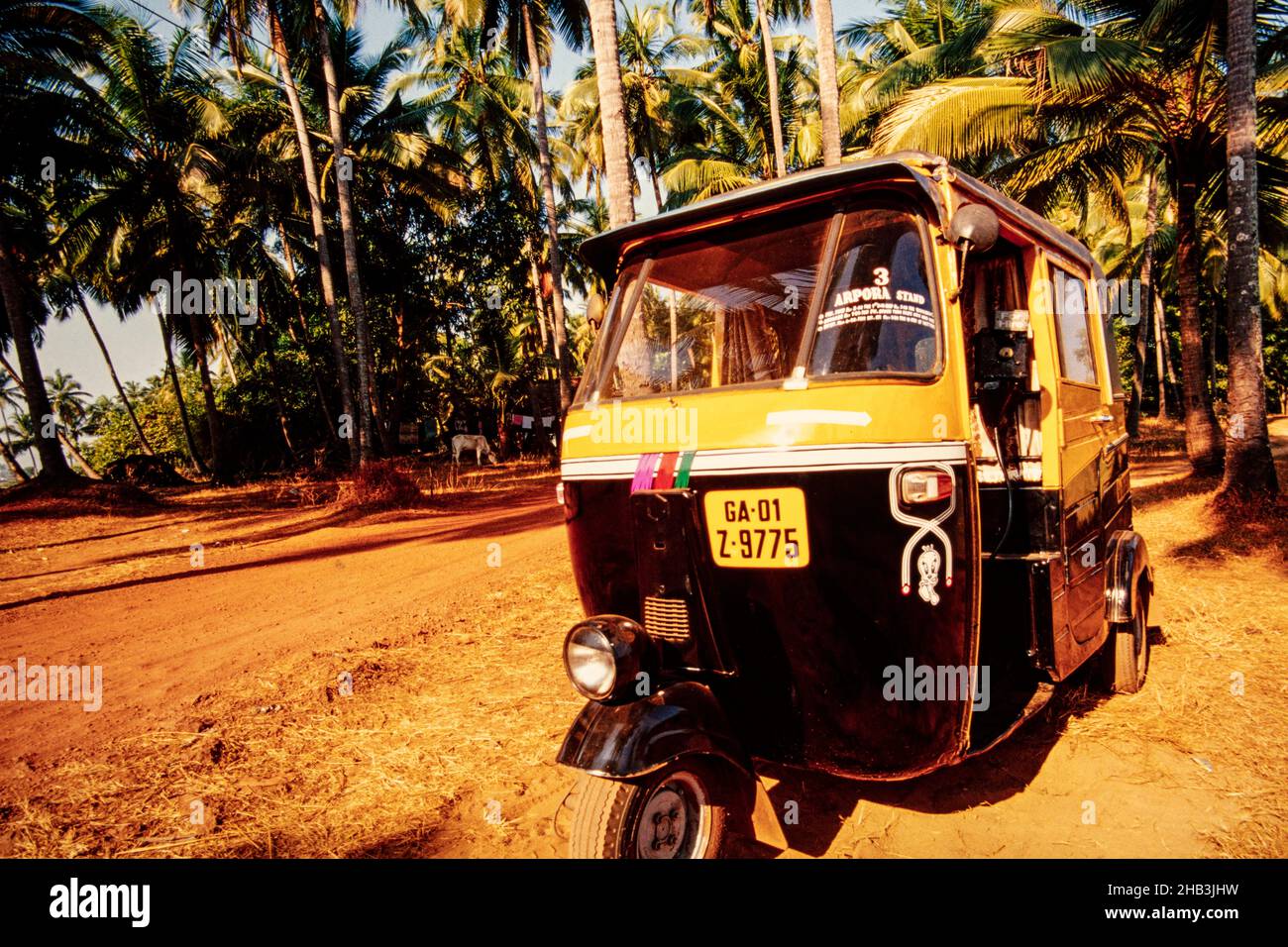 Beauty of rural Goa. High resolution intimate recollection of idyllic holiday location for ...