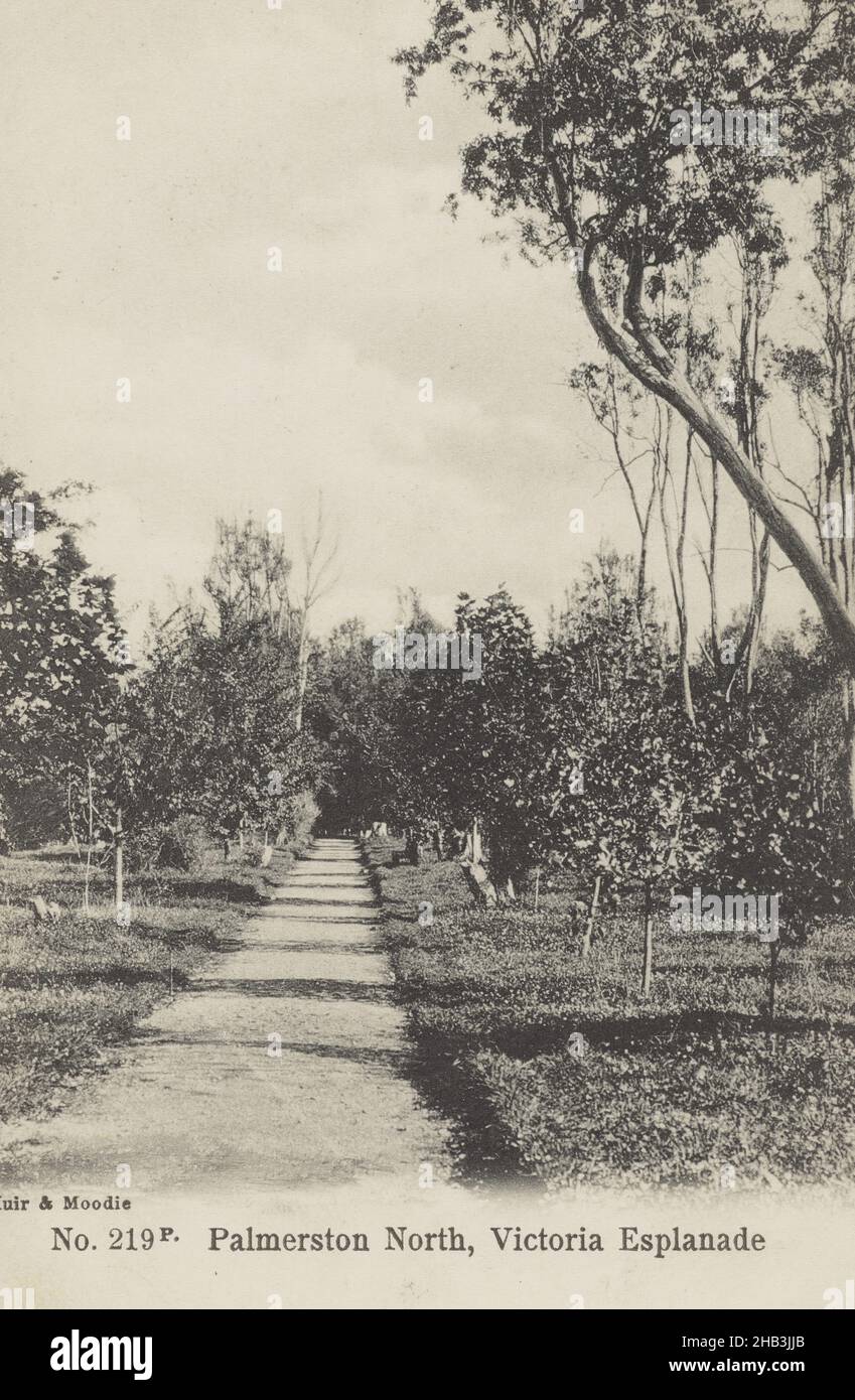 Palmerston North, Victoria Esplanade, Muir & Moodie studio, 1905 ...