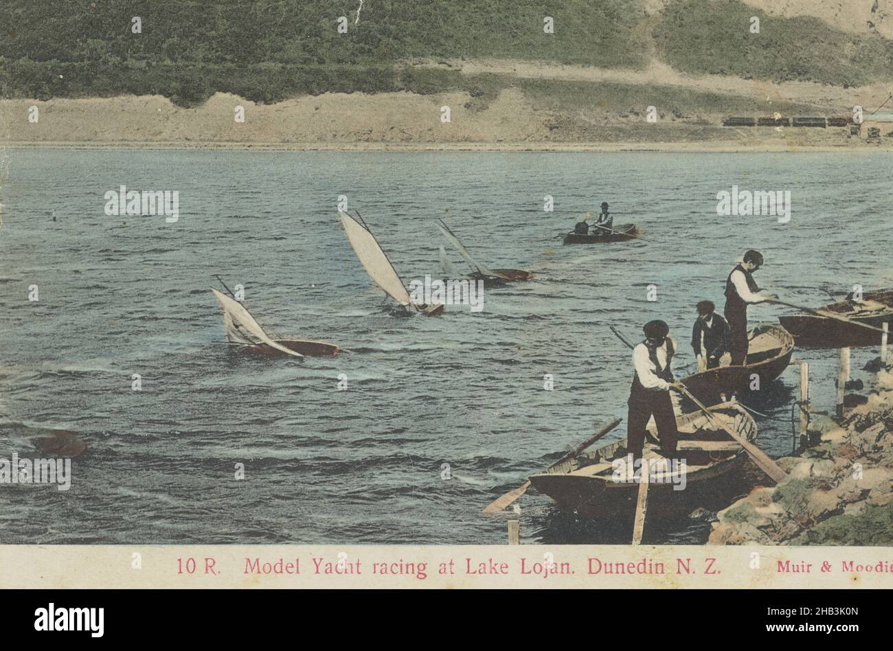 Model Yacht racing at Lake Logan, Dunedin, New Zealand, Muir & Moodie ...