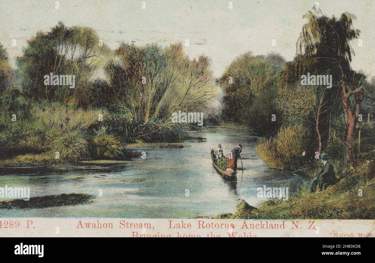 Wahie hi-res stock photography and images - Alamy