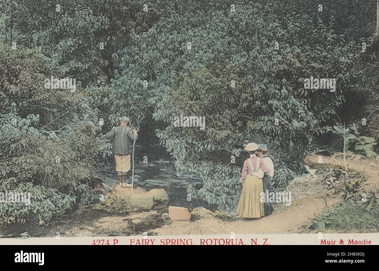 Rotorua the fairy spring hi-res stock photography and images - Alamy