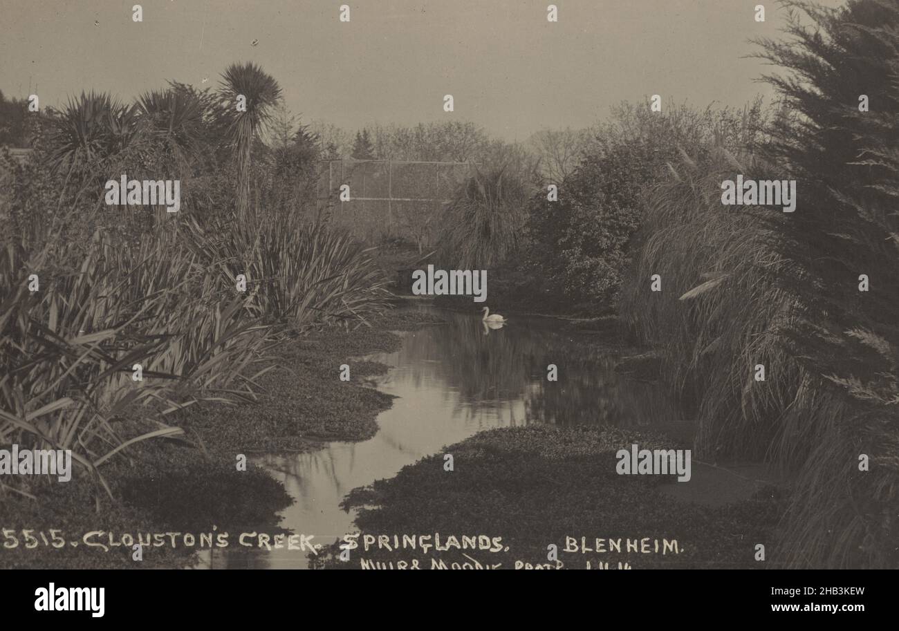 Cloustons Creek, Springlands, Blenheim, Muir & Moodie studio, 1914 ...