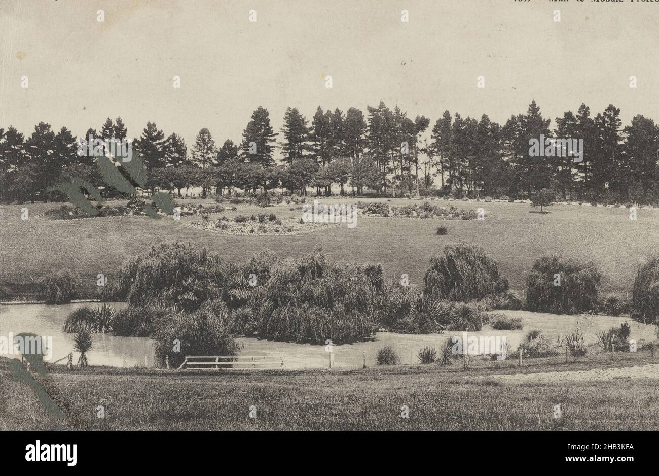 Gardens, Timaru, Muir & Moodie studio, 1912, Timaru Stock Photo - Alamy