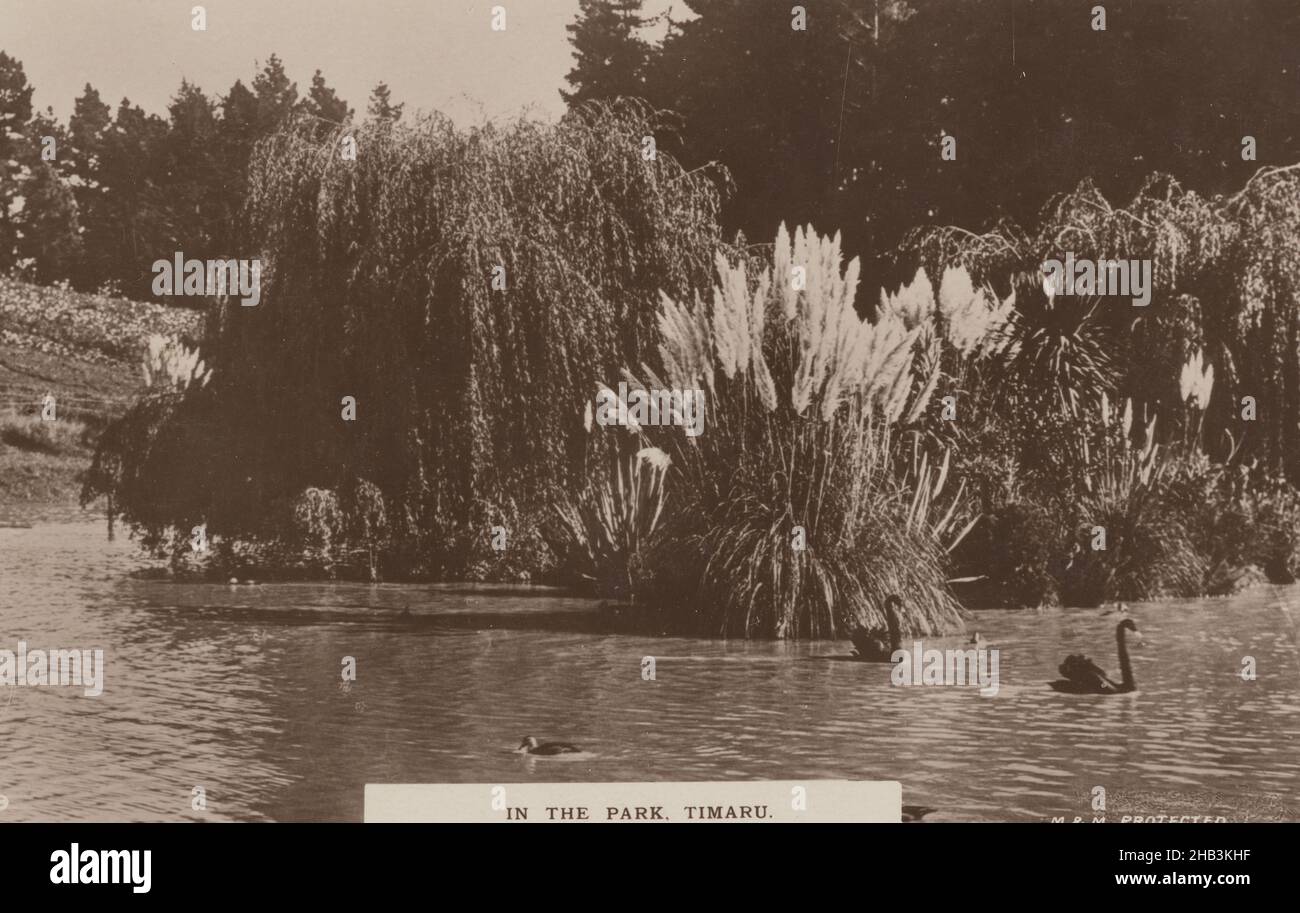 Timaru in the park hi-res stock photography and images - Alamy