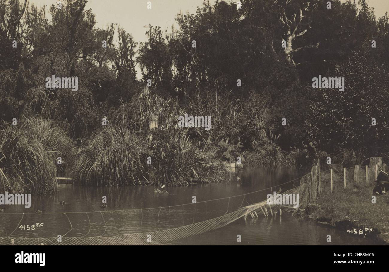 In the gardens featherston hi-res stock photography and images - Alamy