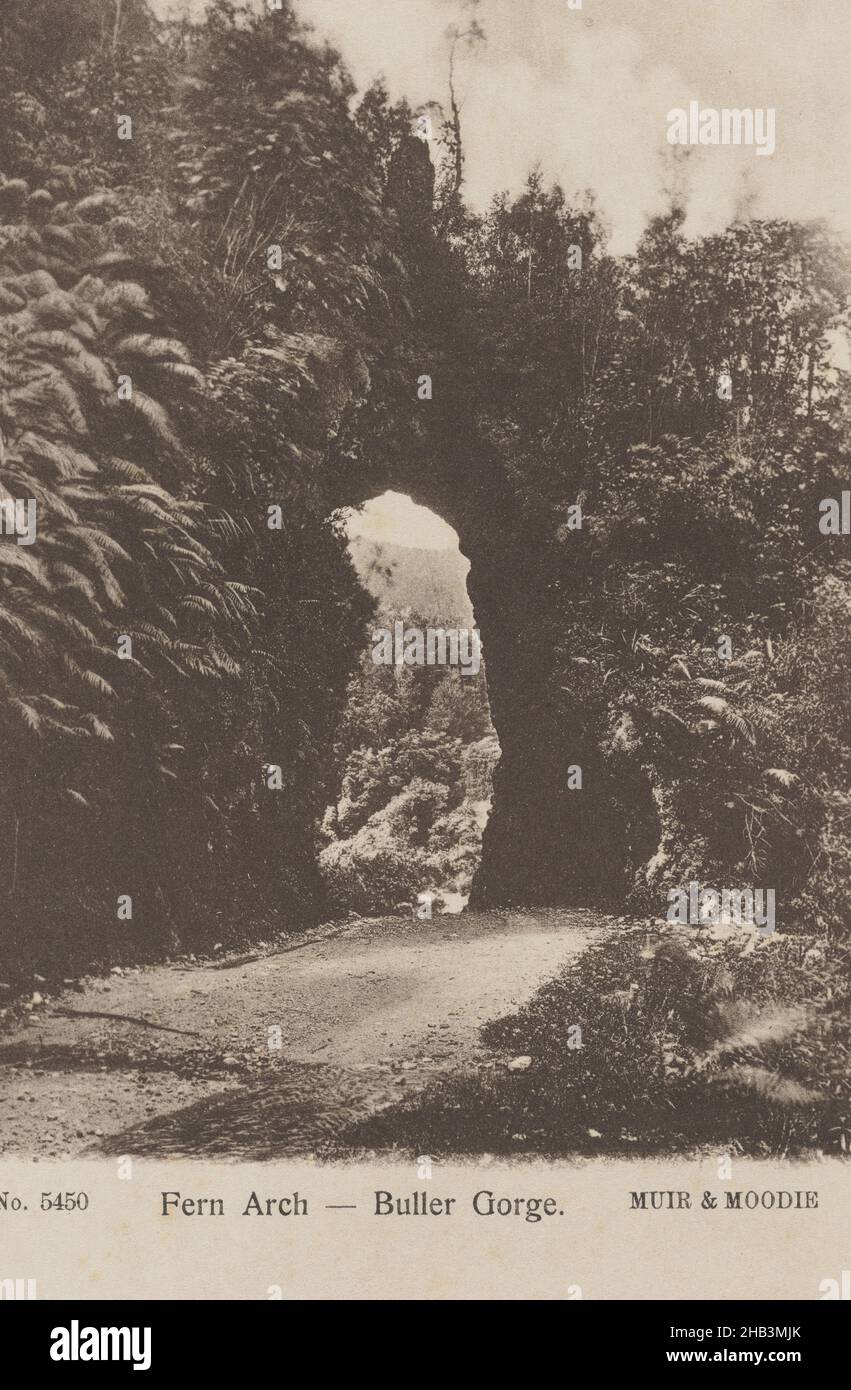 Fern arch buller gorge hi-res stock photography and images - Alamy