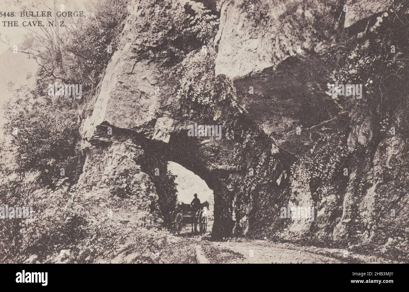 Buller Gorge, The Cave, Muir & Moodie studio, 1900-1903, Nelson Bays ...