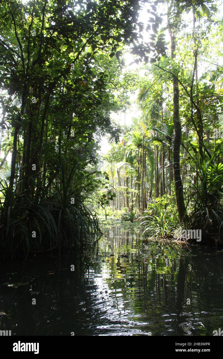 Tropical monsoon climate hi-res stock photography and images - Alamy