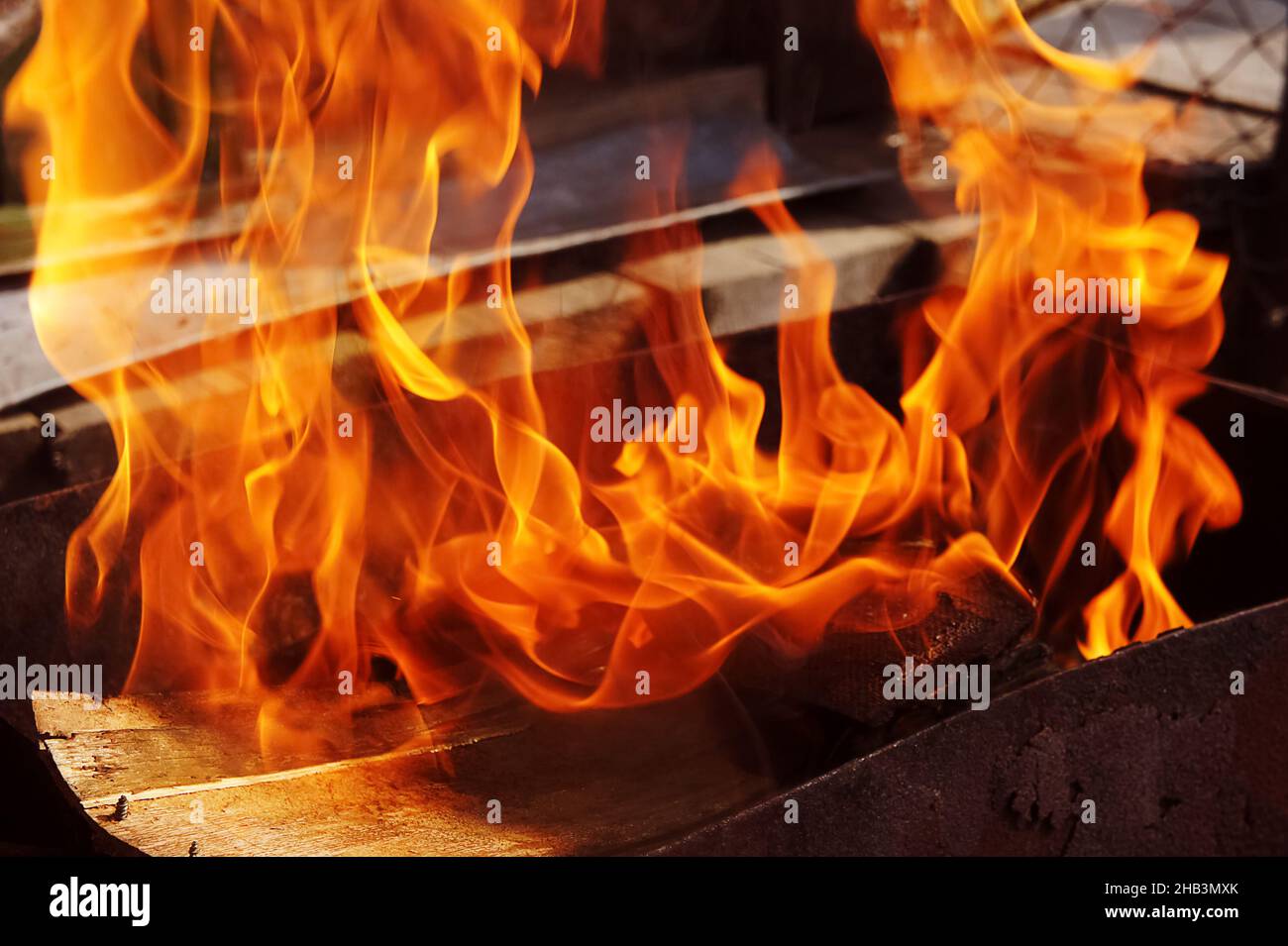 big fire smoke strong bonfire fire brazier on nature bones fry meat ...