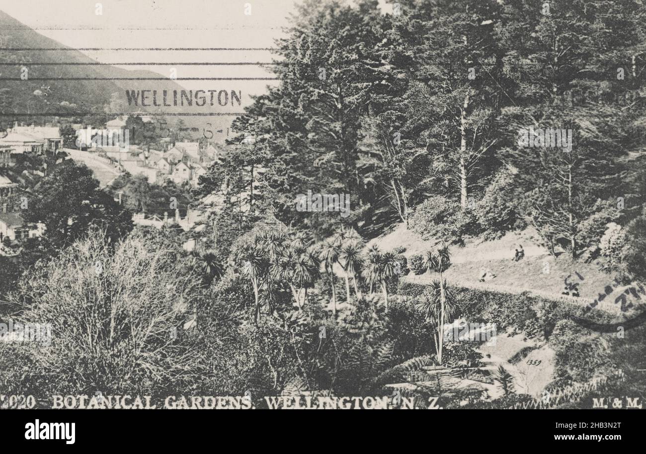 Botanical Gardens, Wellington, New Zealand, Muir & Moodie studio, circa ...