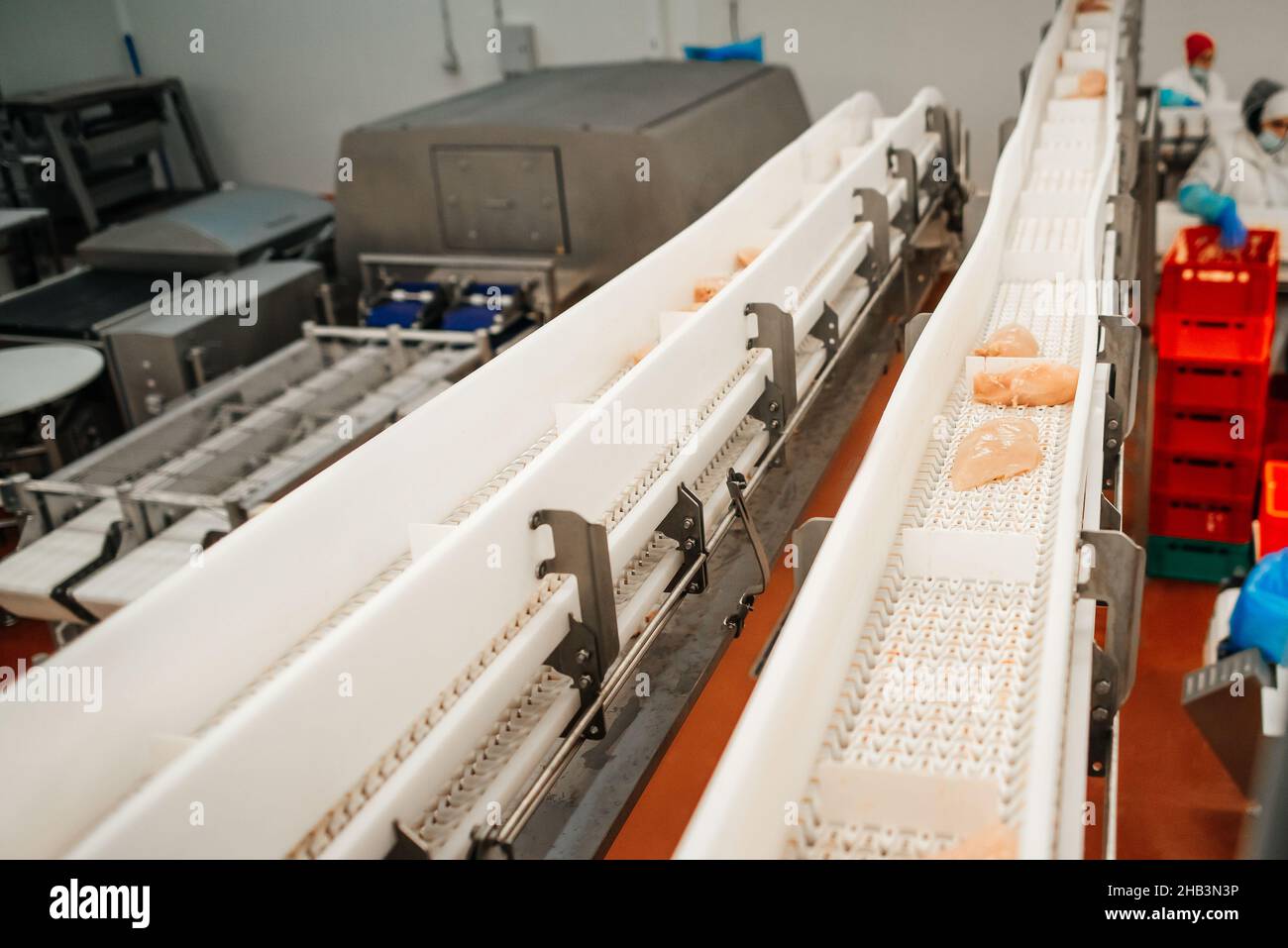Chicken fillet production line . Factory for the production of food ...