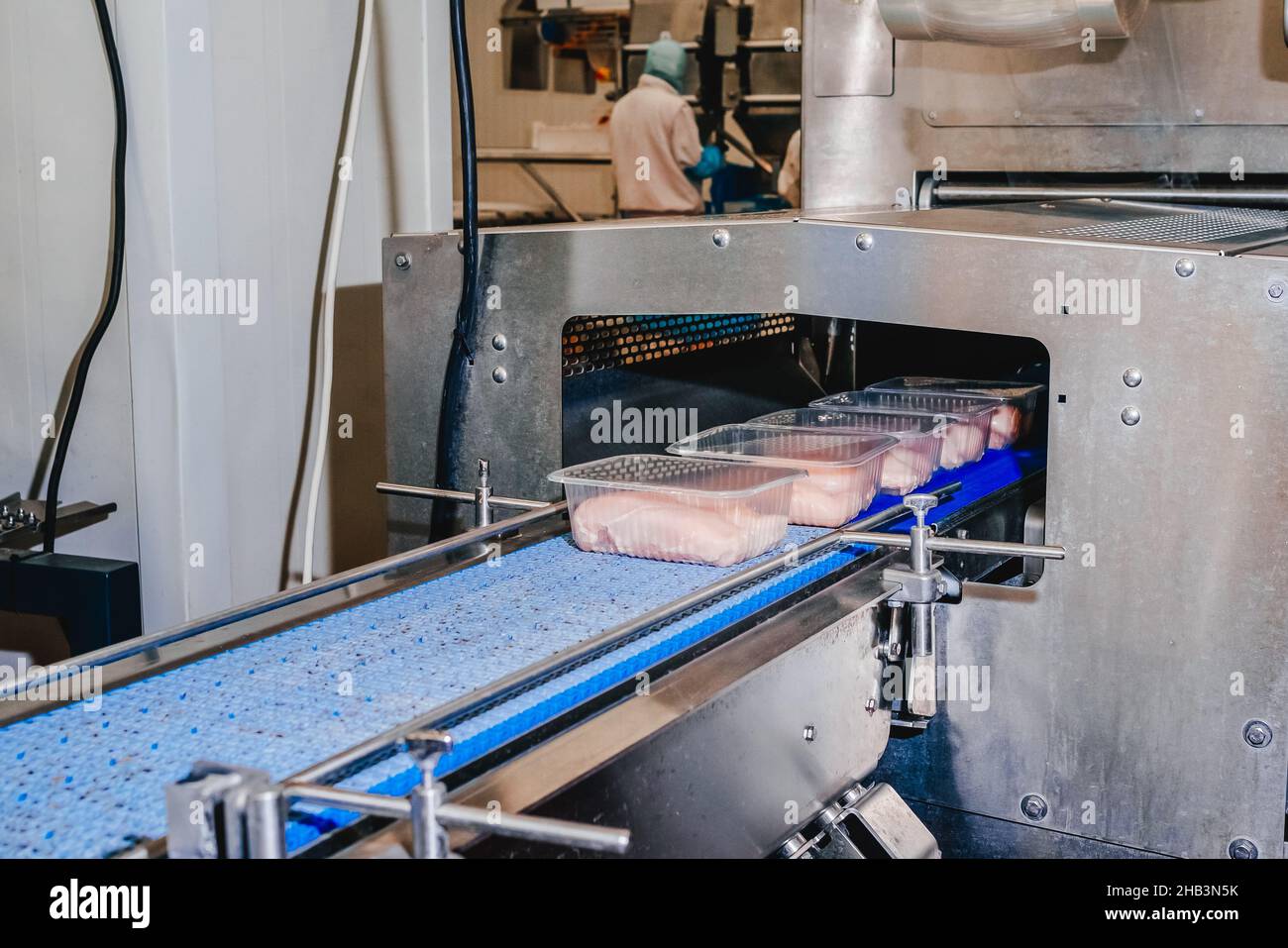 Meat processing plant.Chicken fillet production line .Automated ...