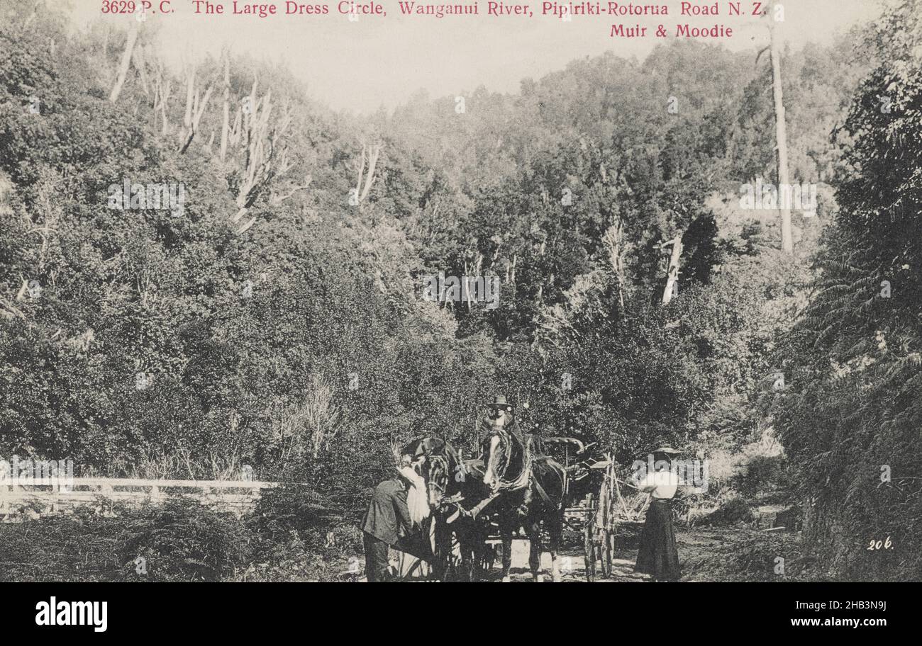 Pipiriki rotorua road hi-res stock photography and images - Alamy