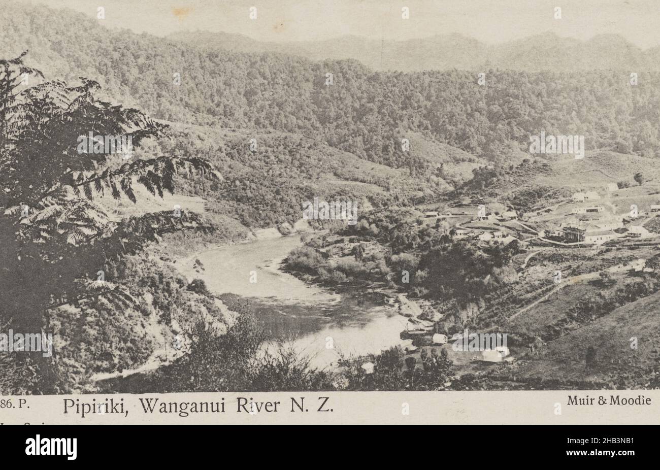 Pipiriki, Wanganui River, New Zealand, Muir & Moodie studio, 1905 ...