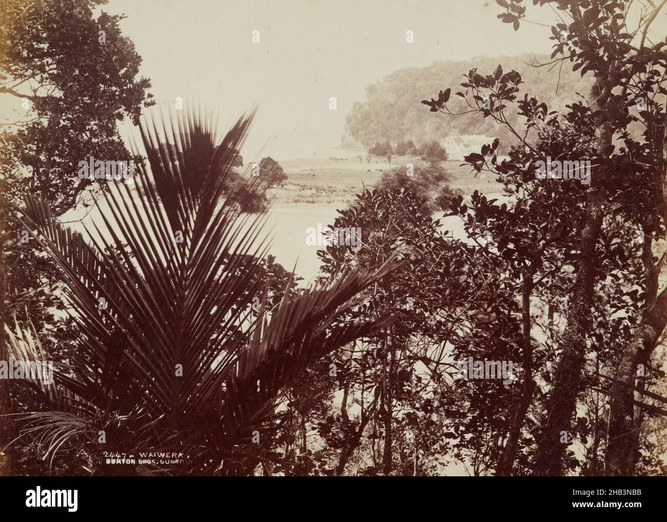 Waiwera, Burton Brothers studio, circa 1890, New Zealand, albumen ...