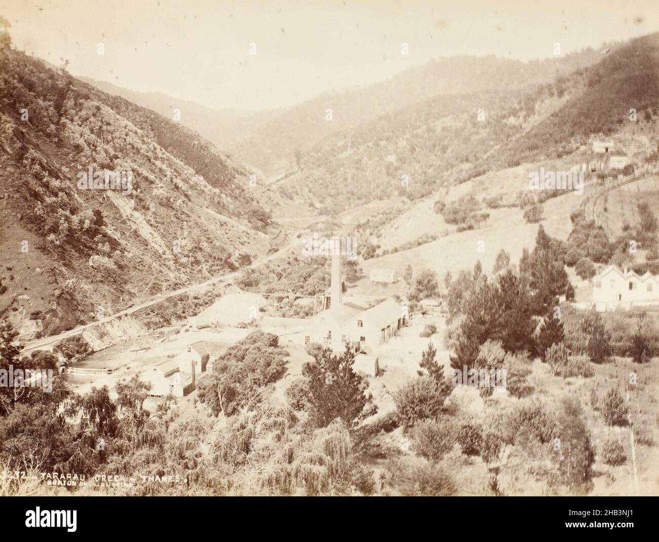 Tararu Creek, Thames. From the album: Views of New Zealand Scenery ...