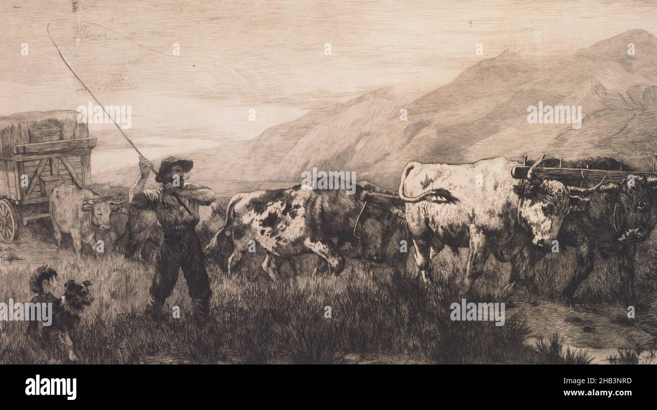 Bullock team in Canterbury, Herbert Dicksee, circa 1890, etching Stock ...