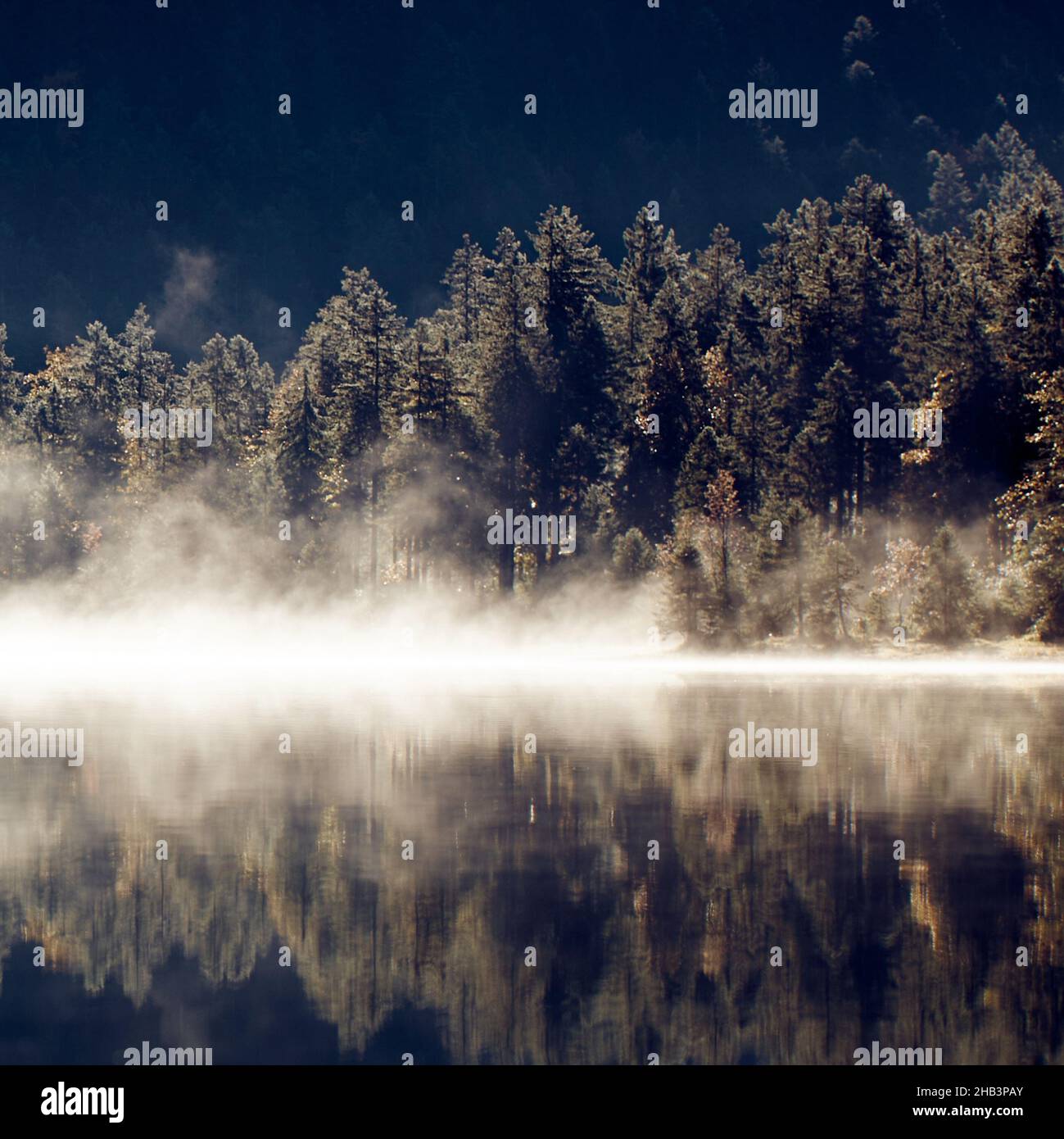 Mesmerizing landscape with a forest reflected in a lake Stock Photo - Alamy