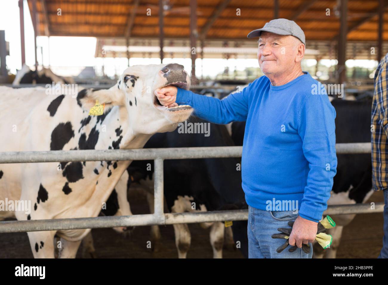 Mature farm owner portrait hi-res stock photography and images - Alamy