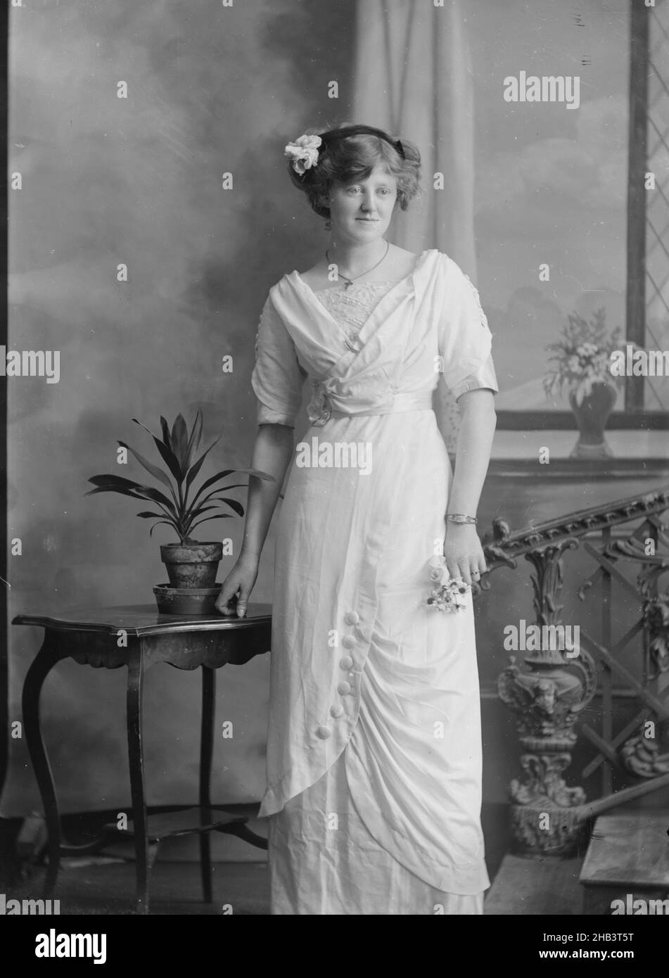 Stewart, Berry & Co, circa 1920, Wellington Stock Photo - Alamy