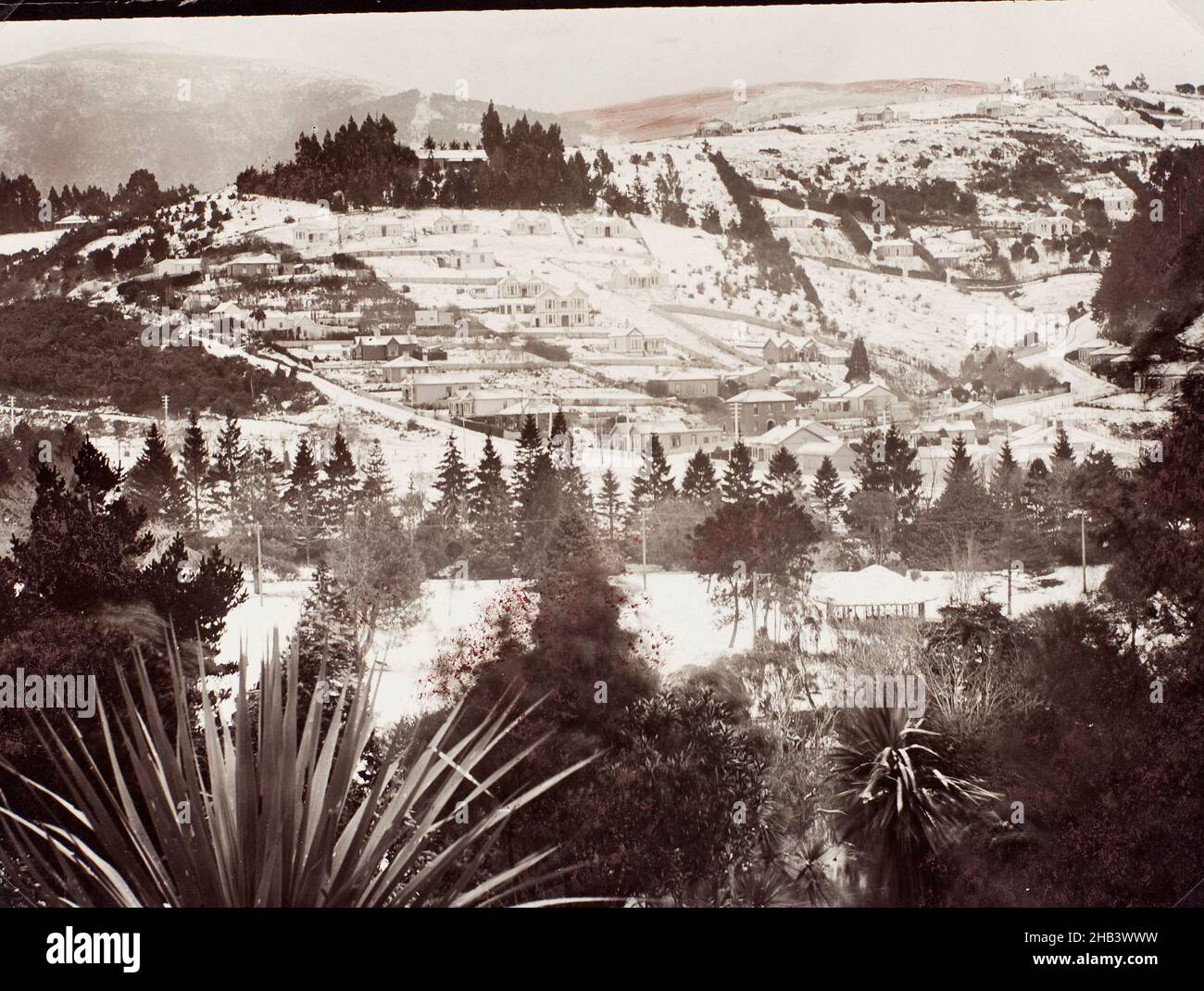 The New Township of North Dunedin under snow, Burton Brothers studio ...
