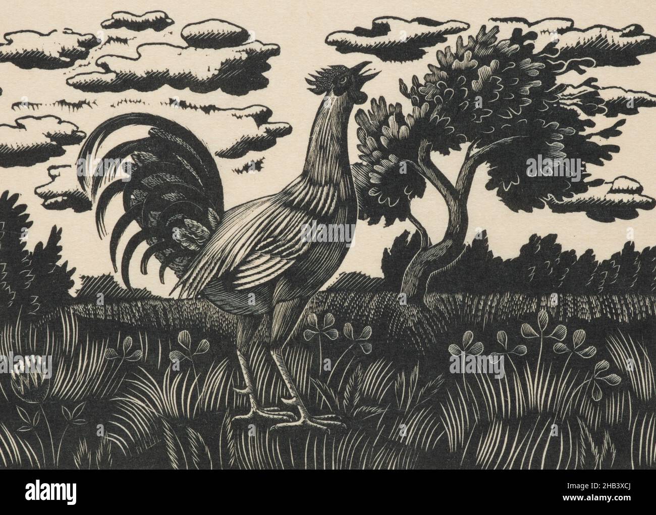 Chanticleer, Eric Ravilious, artist, 1930, England, wood engraving ...