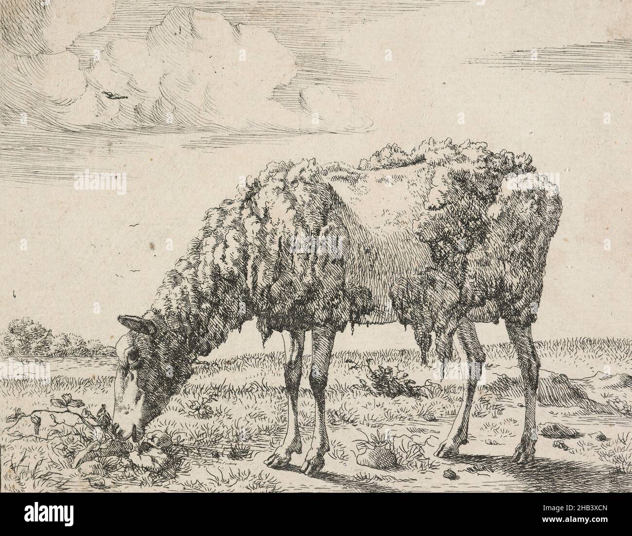 Cows and a sheep. Plate 8: A grazing sheep., Marcus de Bye, artist ...