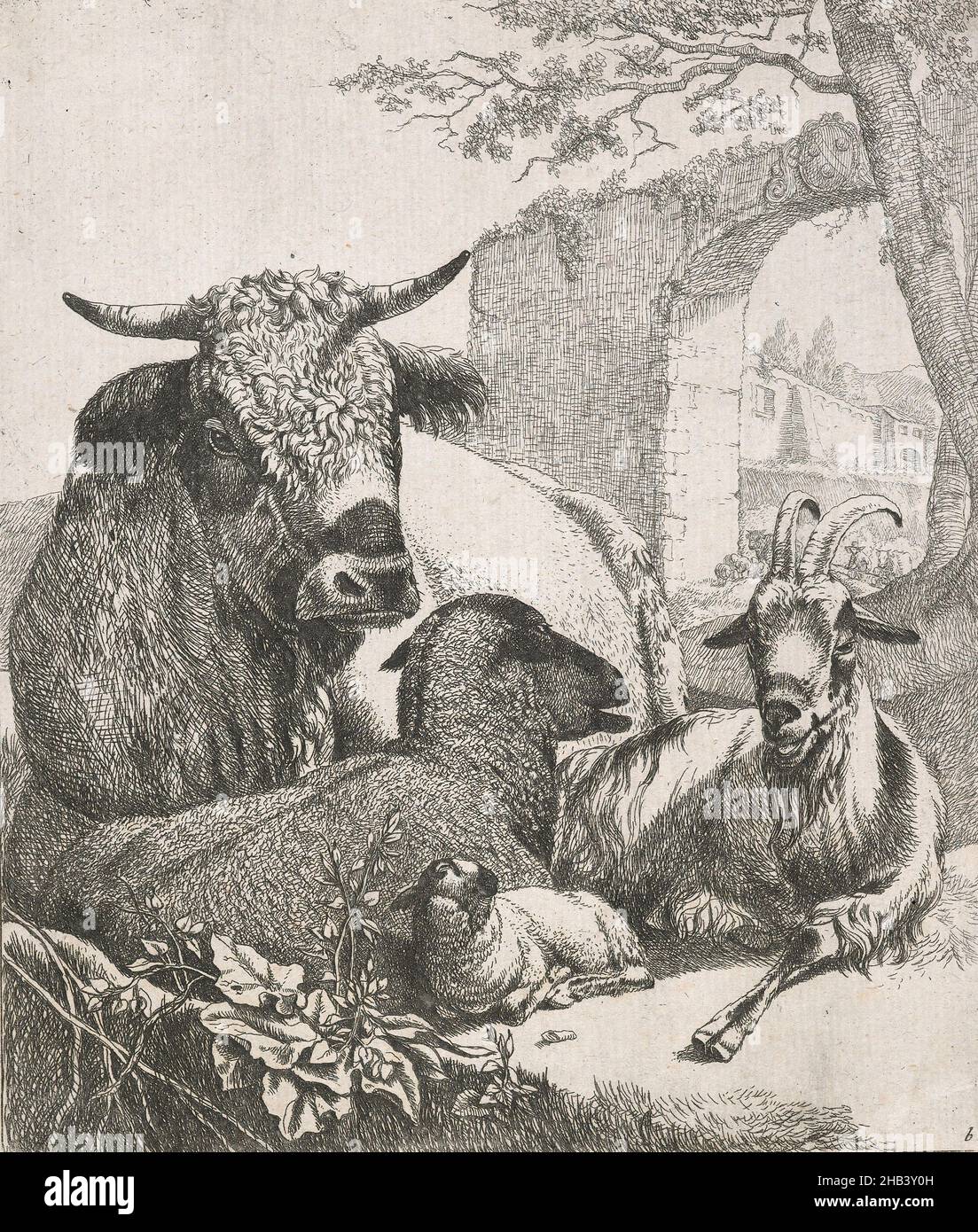 Sheep, goats and cows series: Recumbent bull., Johann Roos, artist ...