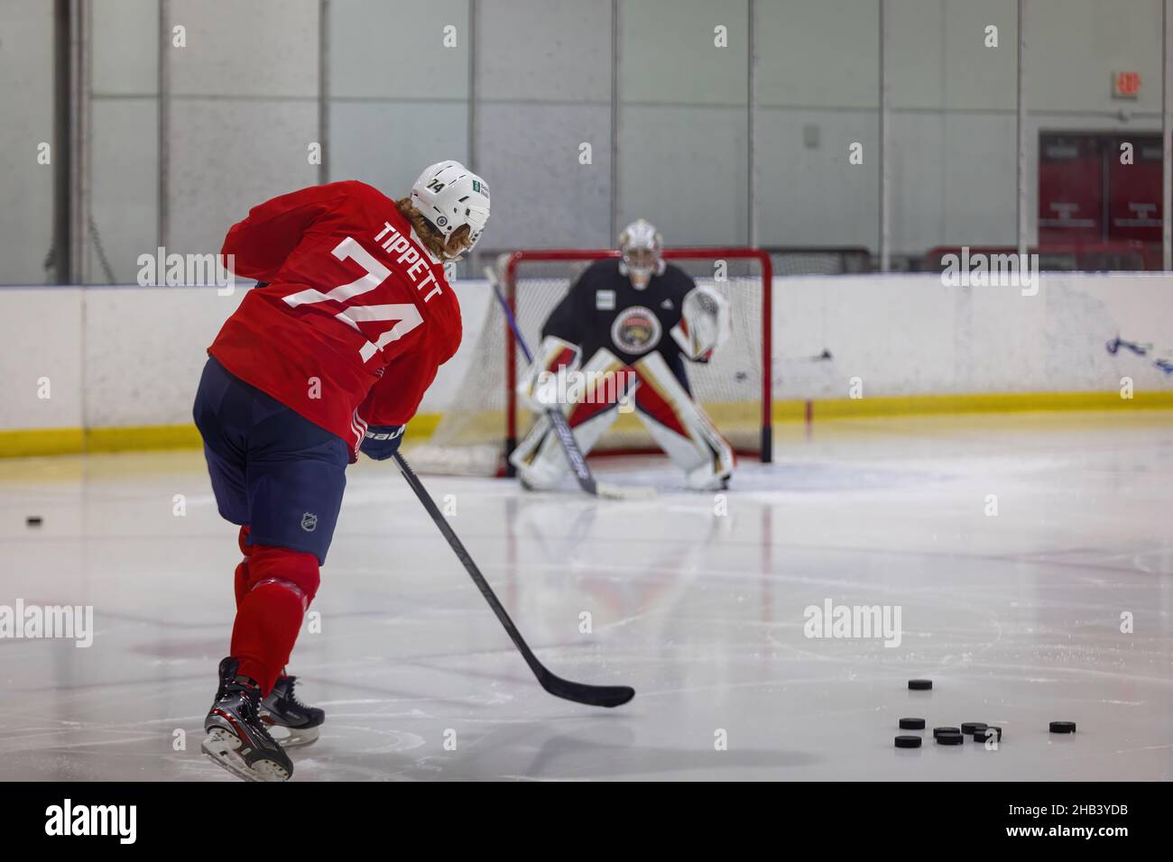 Florida Panthers player no.74 Owen Tippett seen in action during the ...