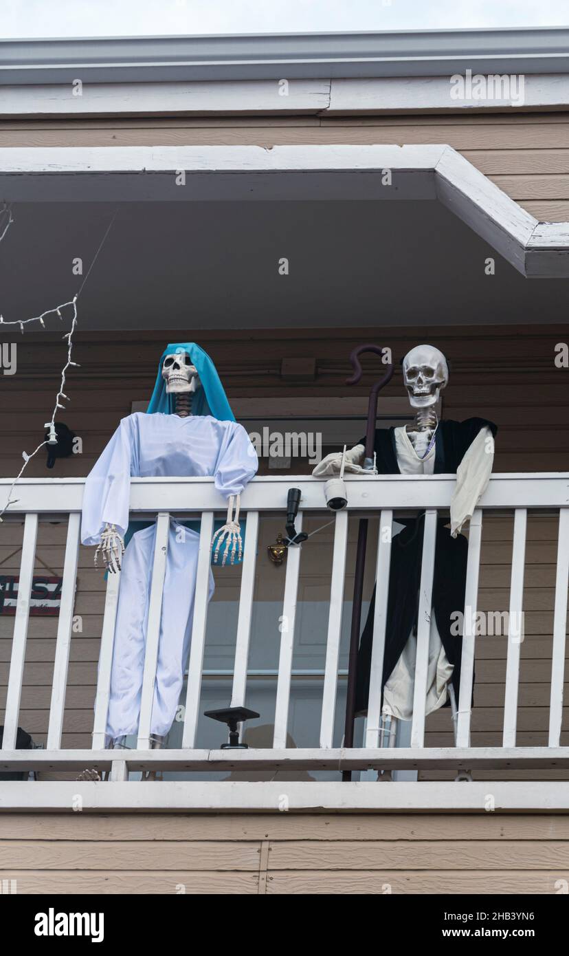Satire of normal US Christmas decorations - fake skeletons are dressed ...