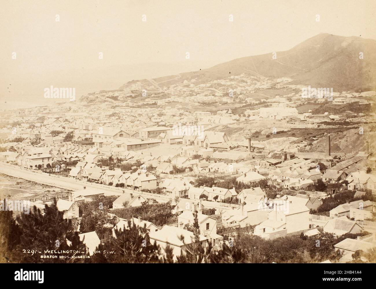 Wellington from south west. From the album: New Zealand Views, Burton ...