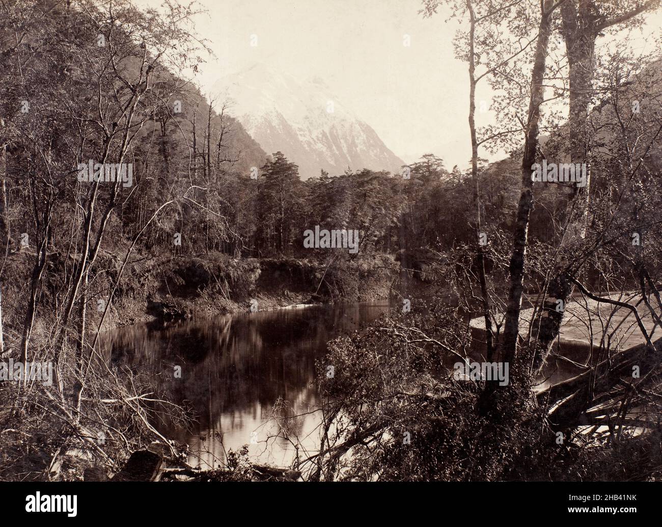 Mount Mackenzie - Clinton River - Head of Lake Te Anau, Burton Brothers ...
