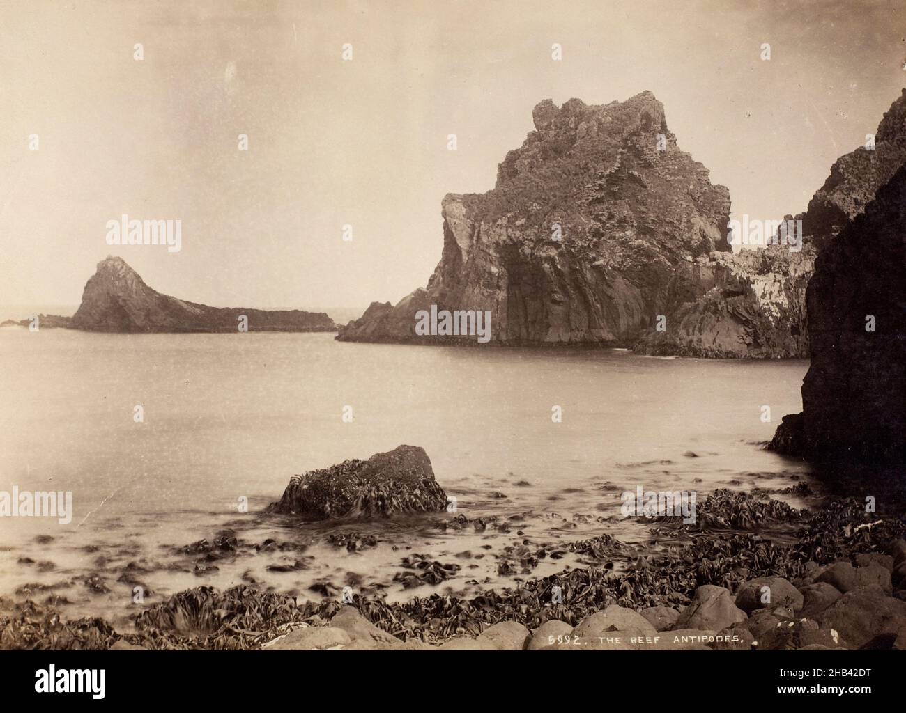 The Reef, Antipodes, Burton Brothers studio, photography studio, 1890s ...