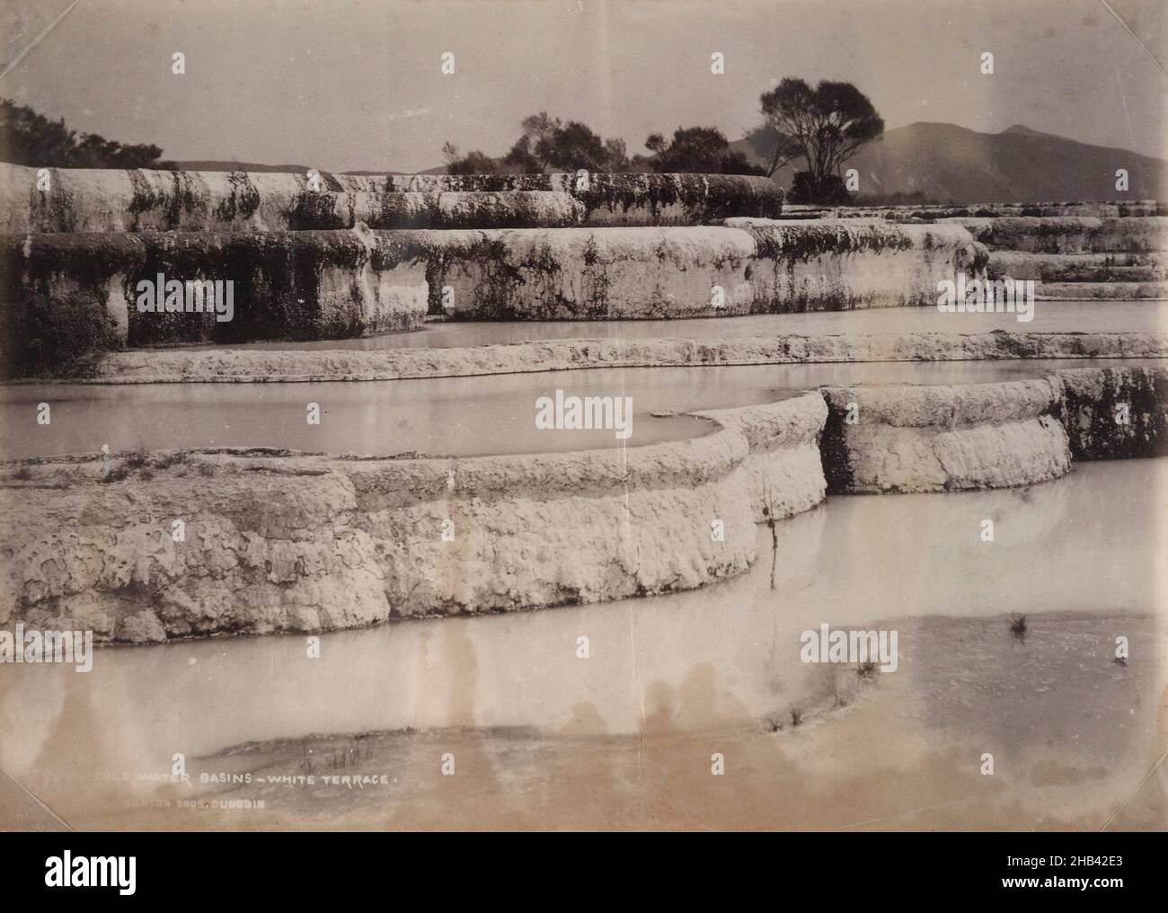 Cold Water Basins - White Terrace, Burton Brothers studio, photography ...