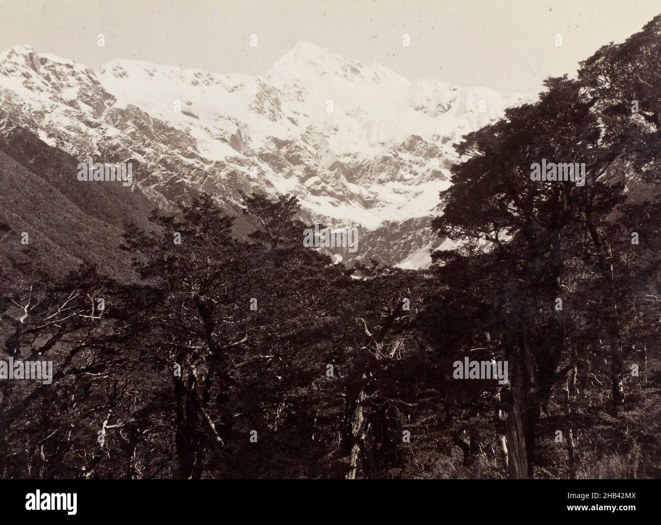 Mount Rolleston, West Coast Road, Burton Brothers studio, photography ...