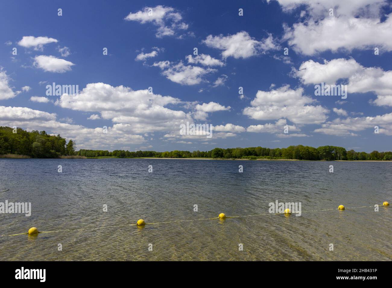 Landscape view of the yellow buoys in the Lake. Bussloo, Netherlands ...
