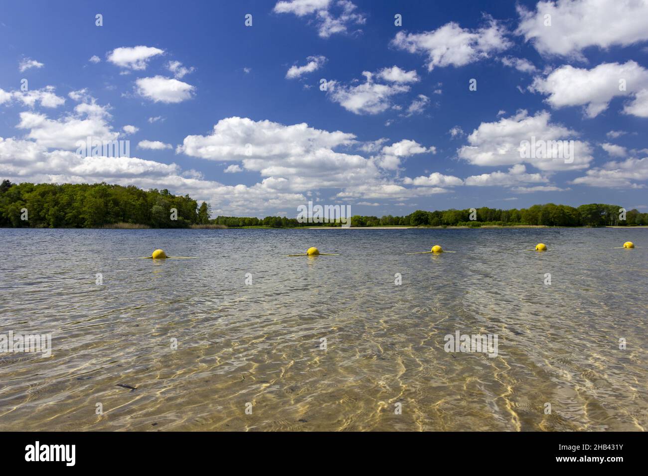 Landscape view of the yellow buoys in the Lake. Bussloo, Netherlands ...