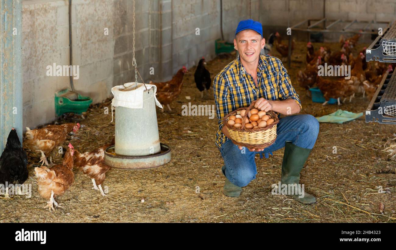 Smiling farmer collecting fresh chicken eggs in henhouse Stock Photo ...
