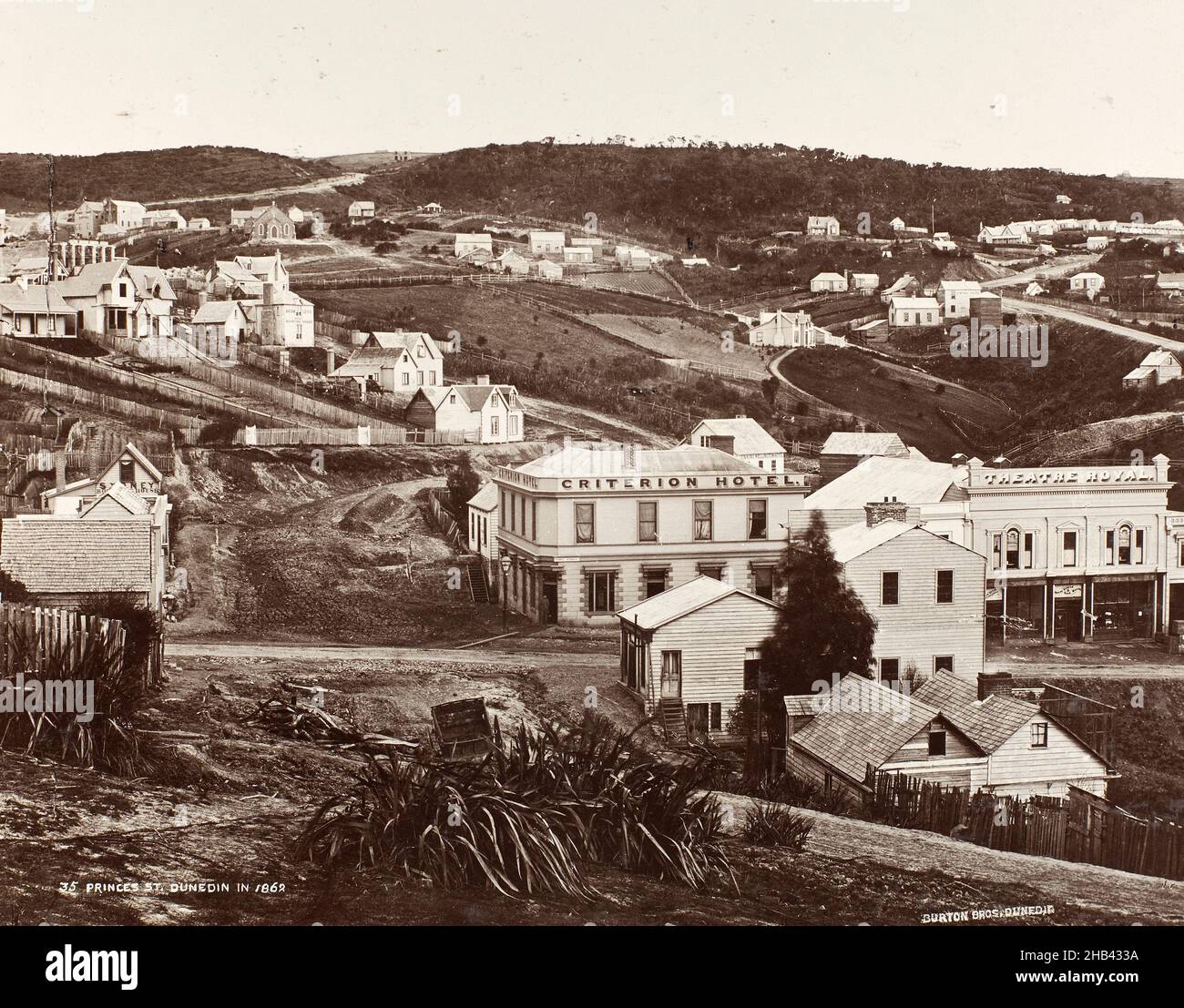 Dunedin in 1862 from the album hi-res stock photography and images - Alamy